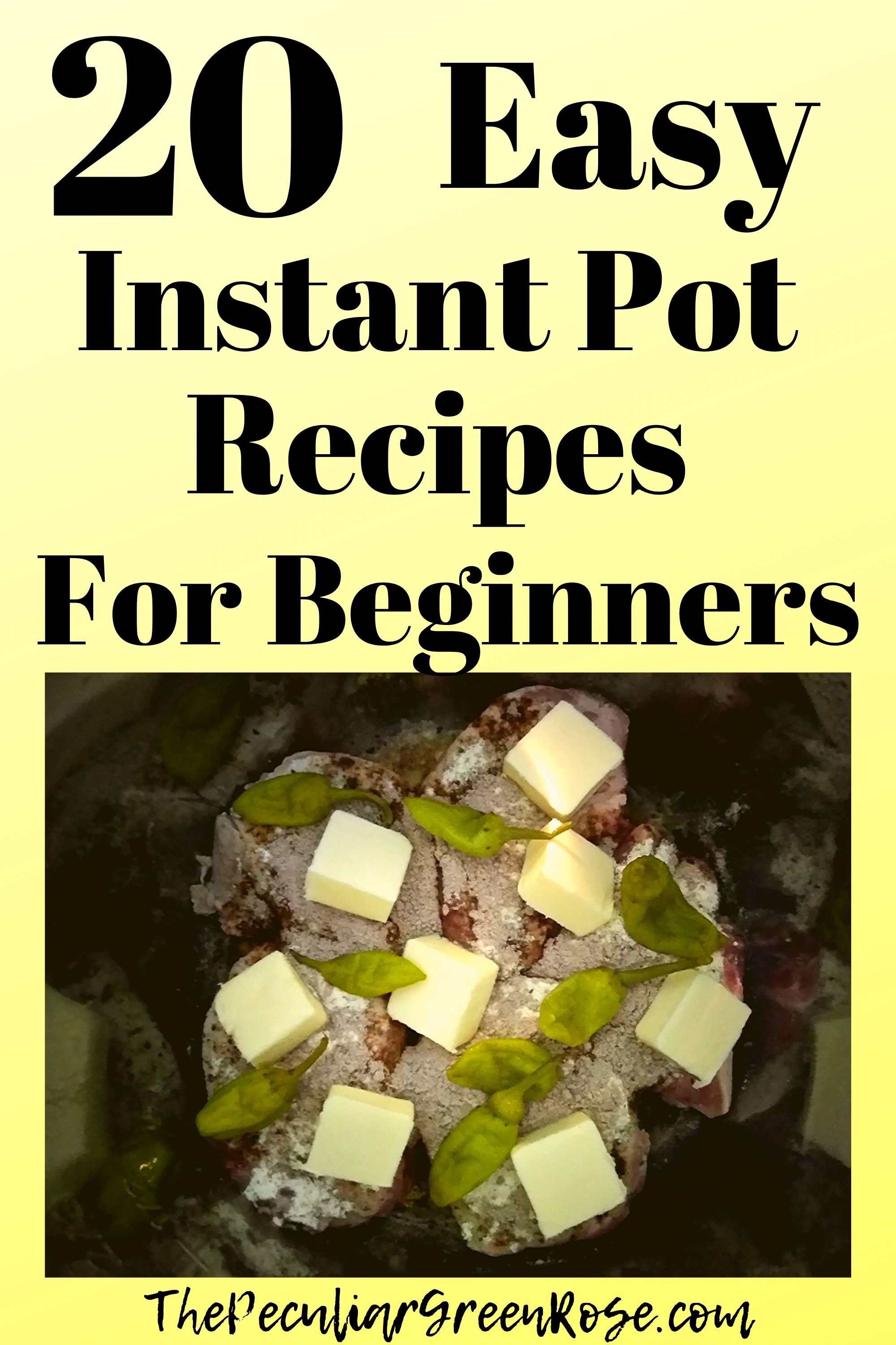 20 Easy Instant Pot Recipes For Beginners - The Peculiar Green Rose