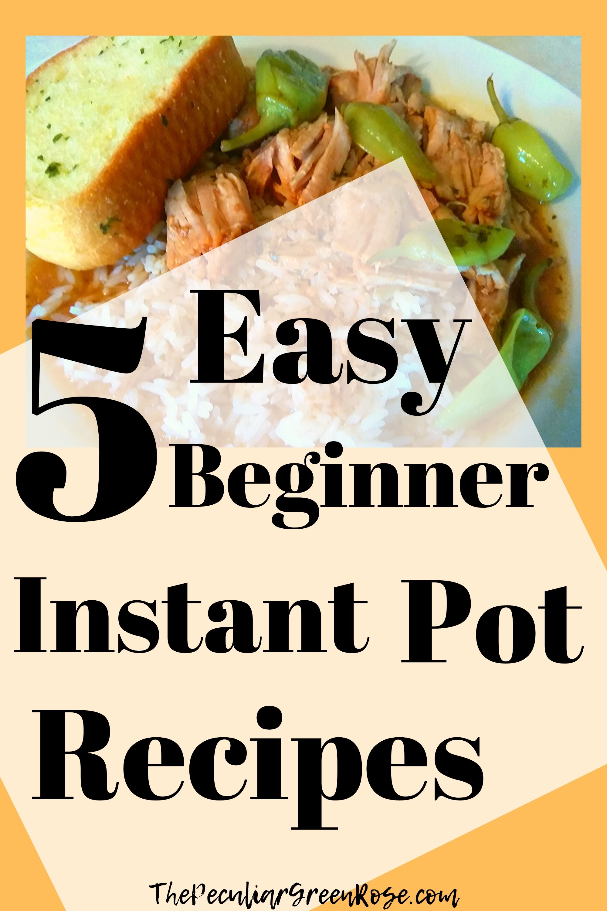 5 Easy Beginner Instant Pot Recipes - The Peculiar Green Rose